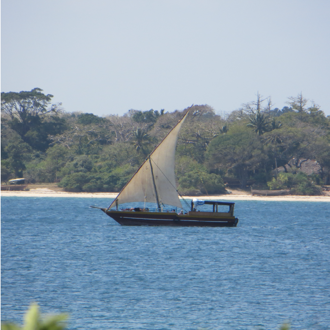One Day Wasini Island from Diani Beach – Diani Untamed Expeditions